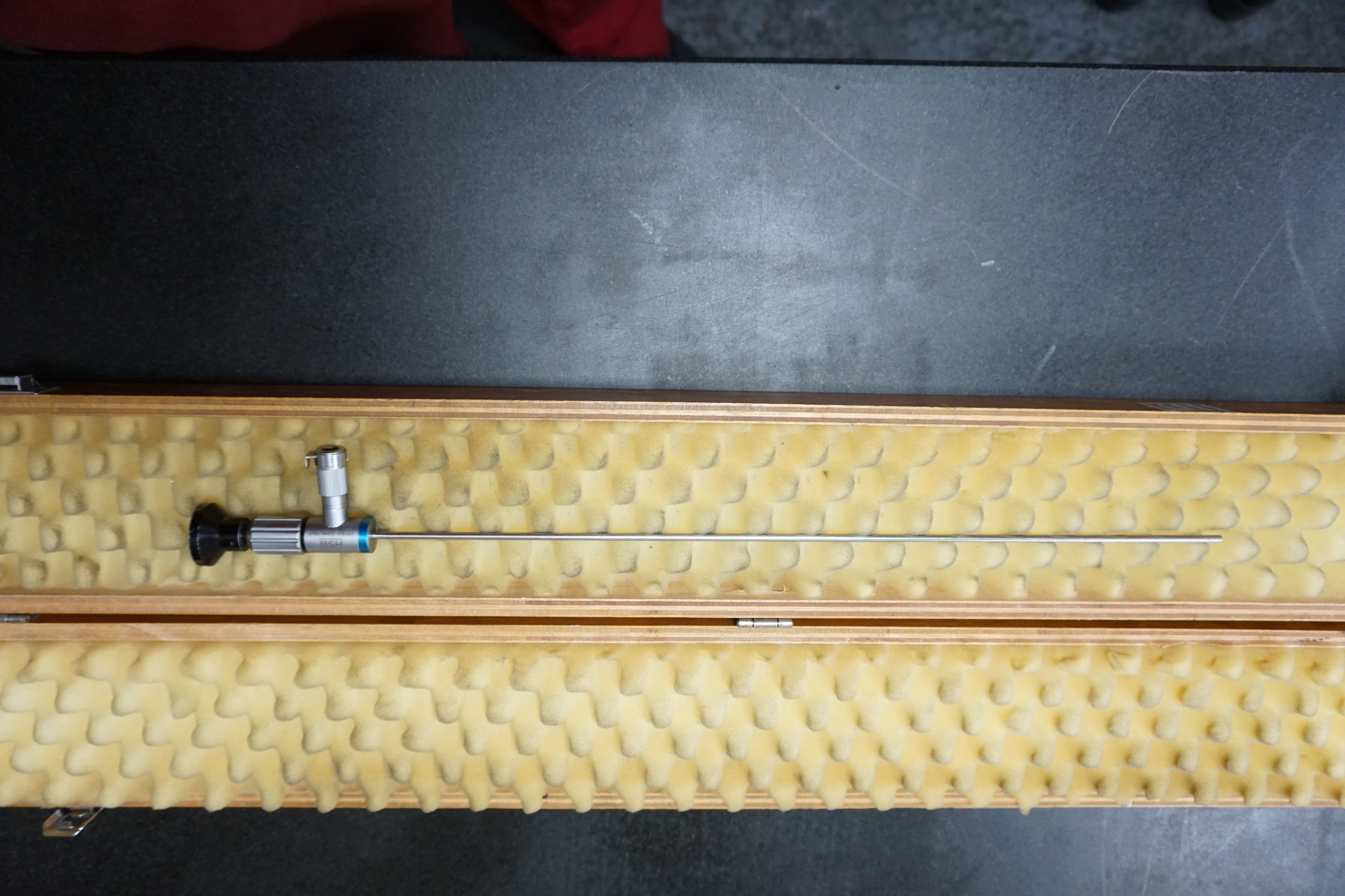 HSW Endoscope
