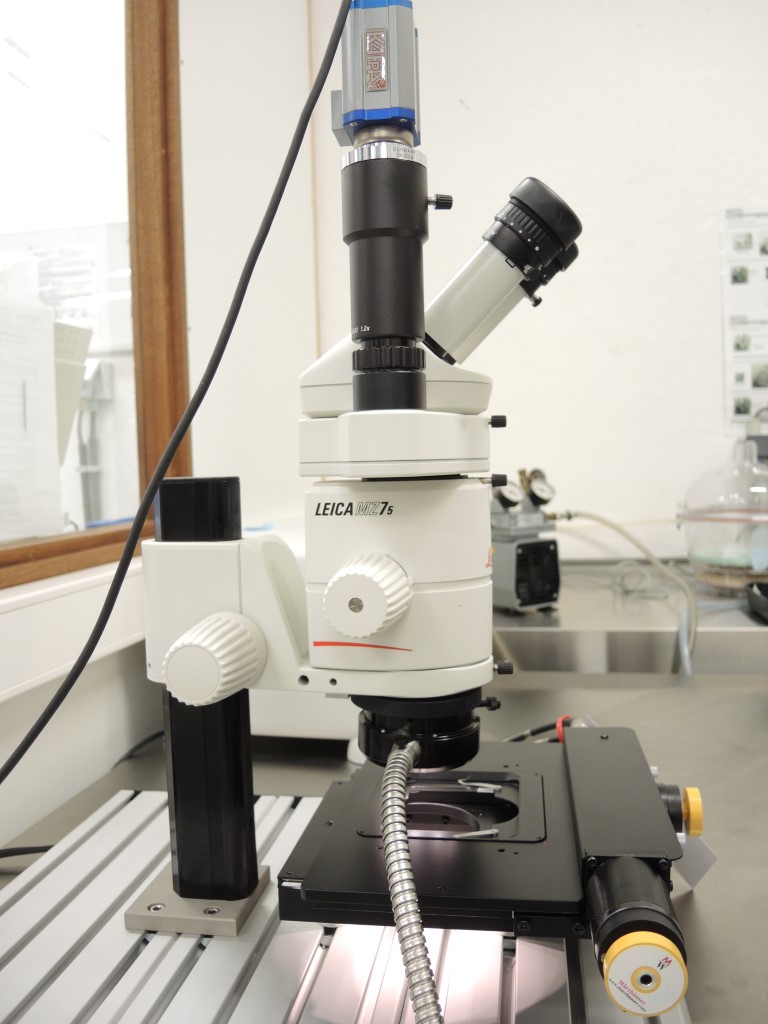 Leica MZ75 Microscope with Camera Kappa and PC