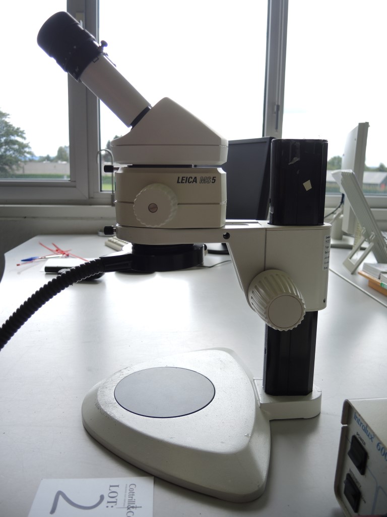Leica MS5 Stereo Microscope
