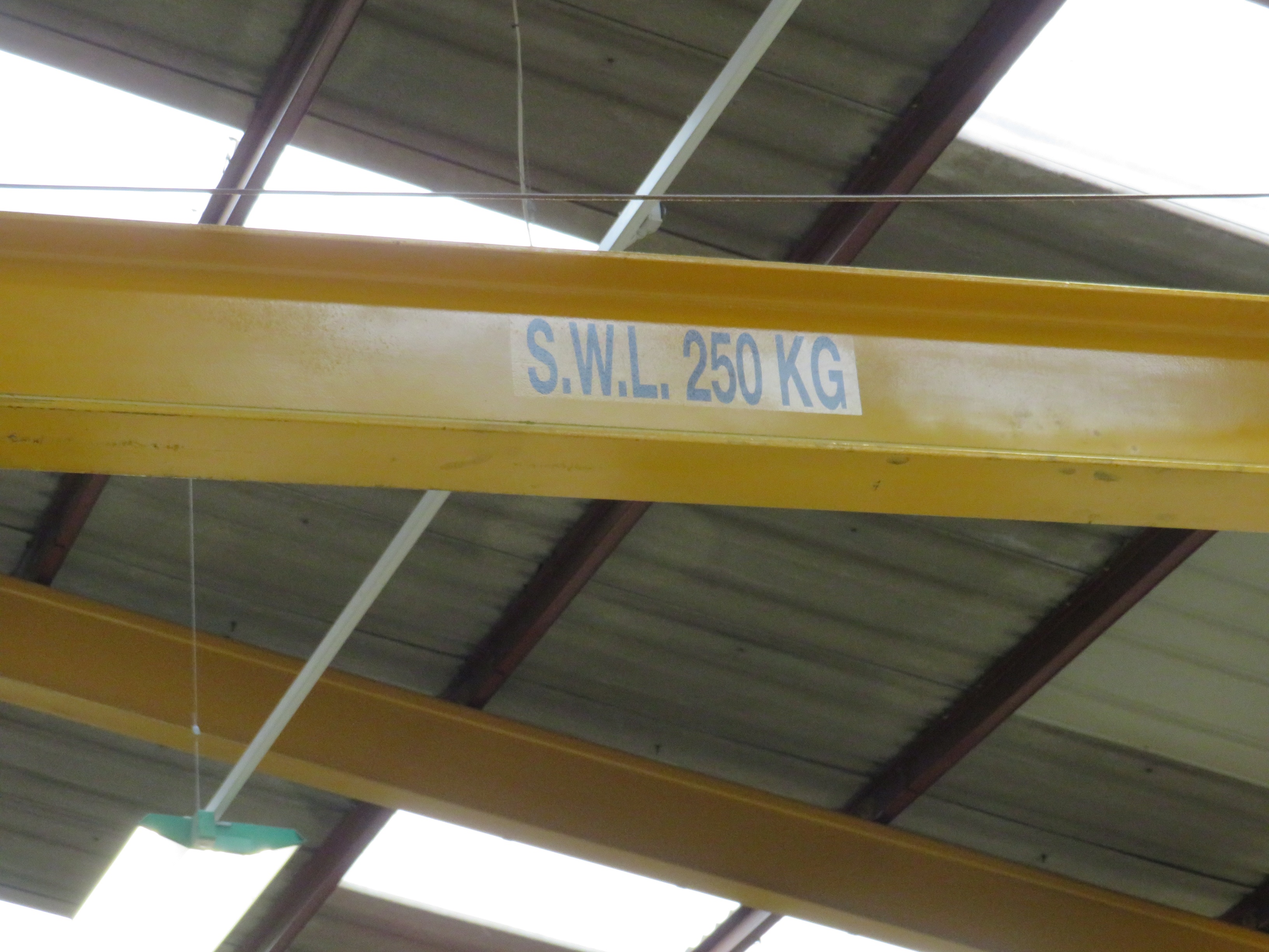 Jib Crane 250kg with Donati Hoist