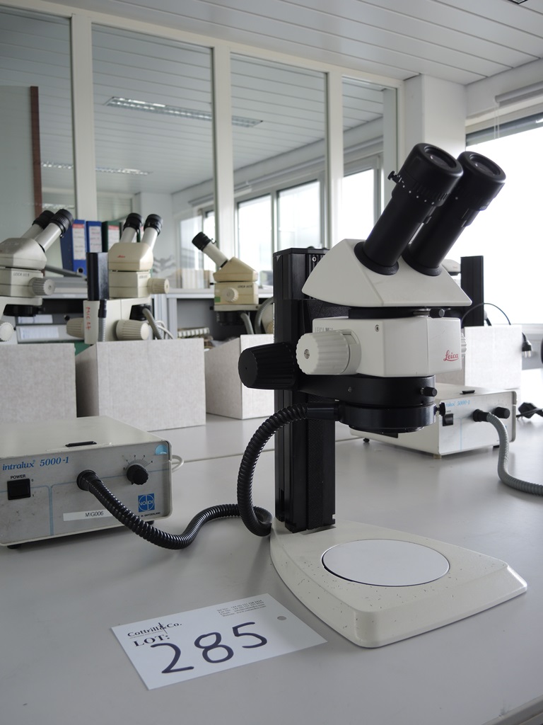 Leica M50 Stereo Microscope