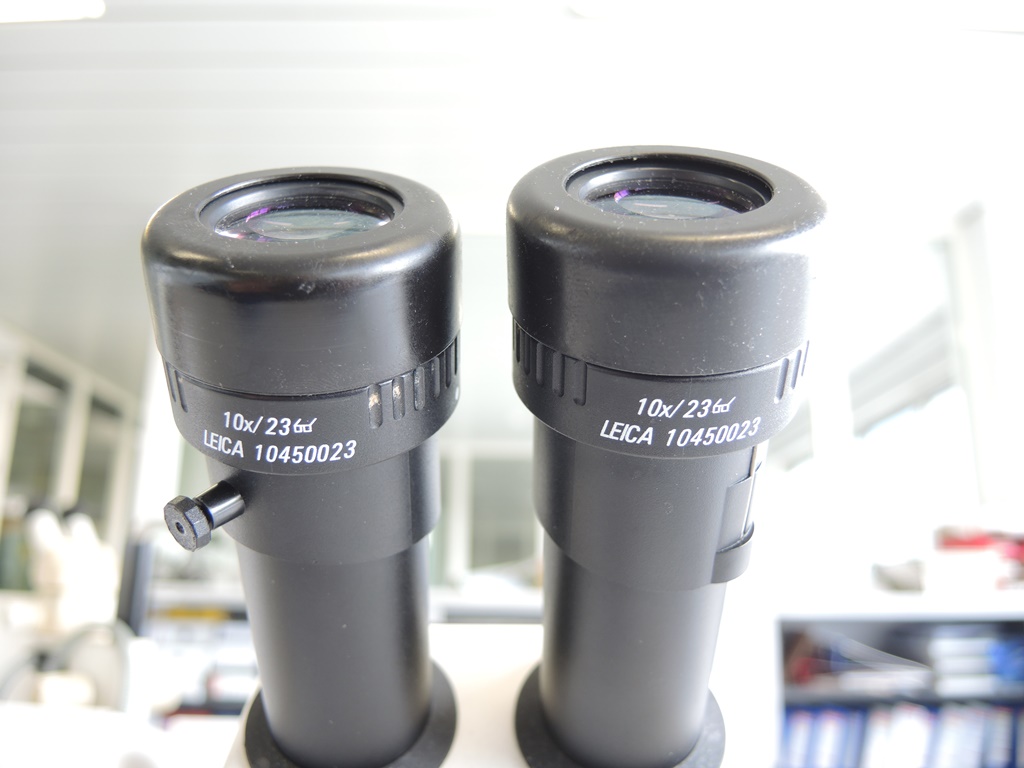 Leica M50 Stereo Microscope