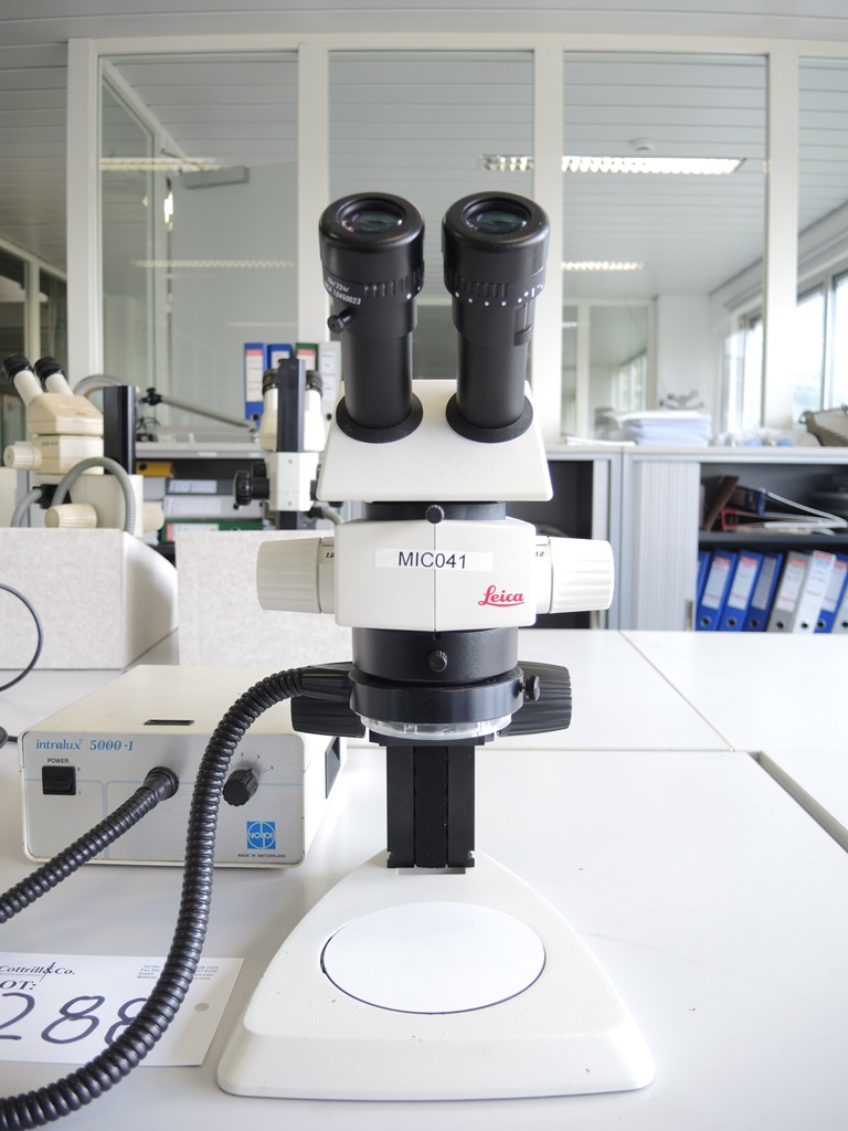 Leica M50 Stereo Microscope