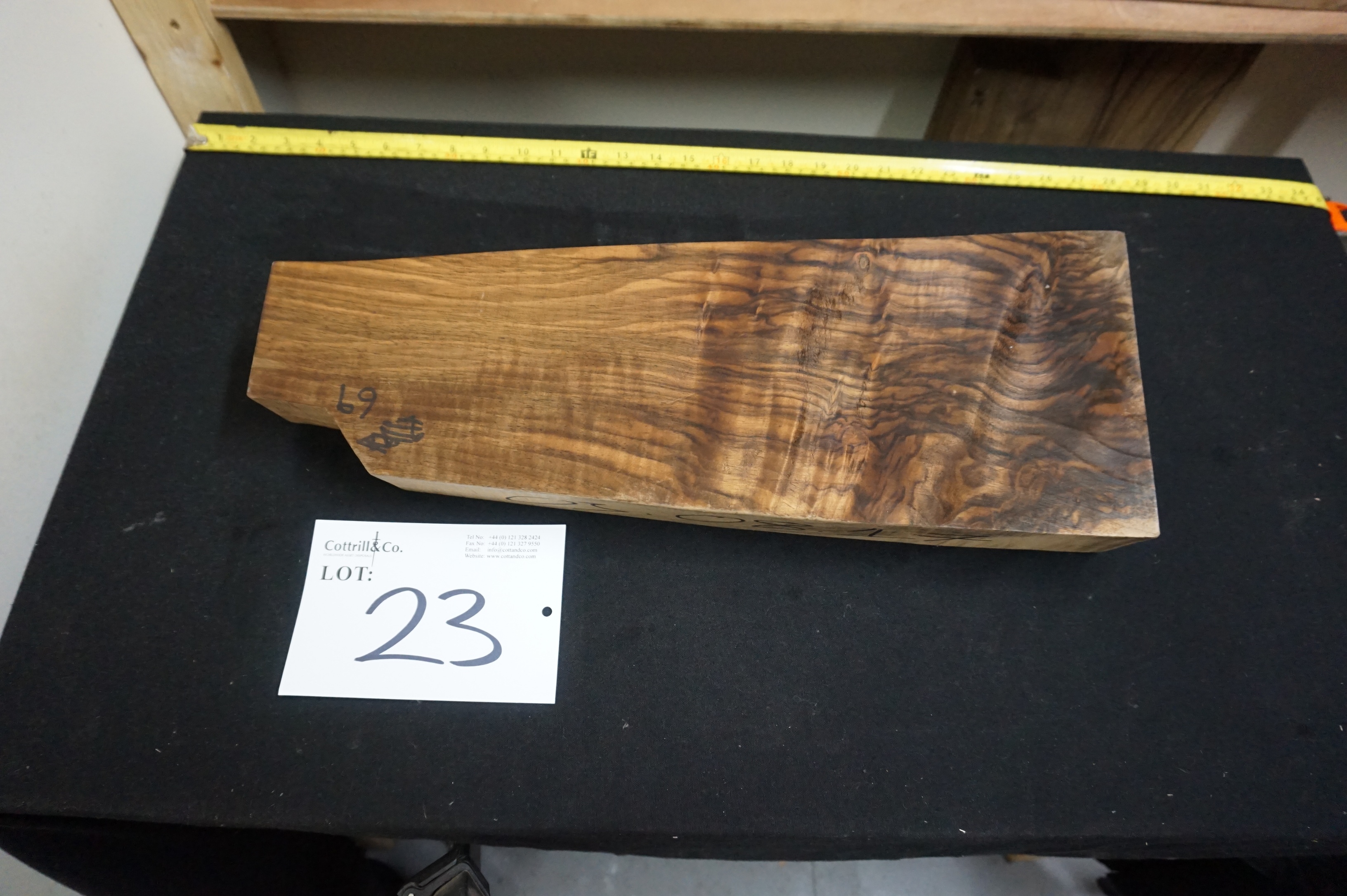 1 Piece of Exhibition Grade Turkish Walnut