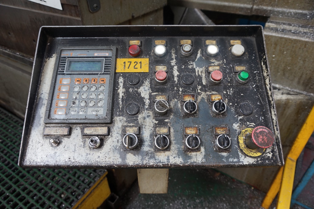 Friggi Vertical Band Saw