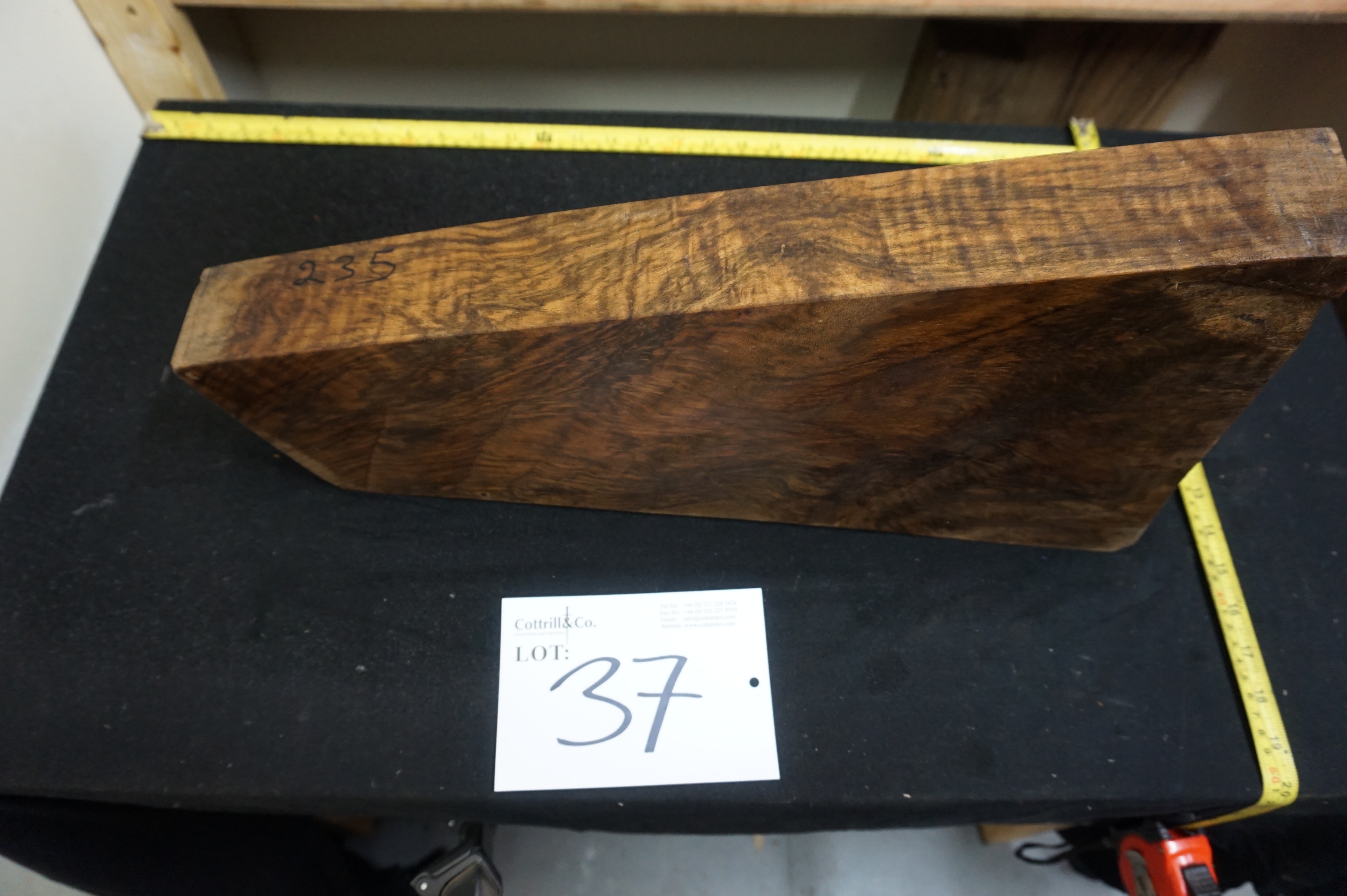 1 Piece of Exhibition Grade Turkish Walnut