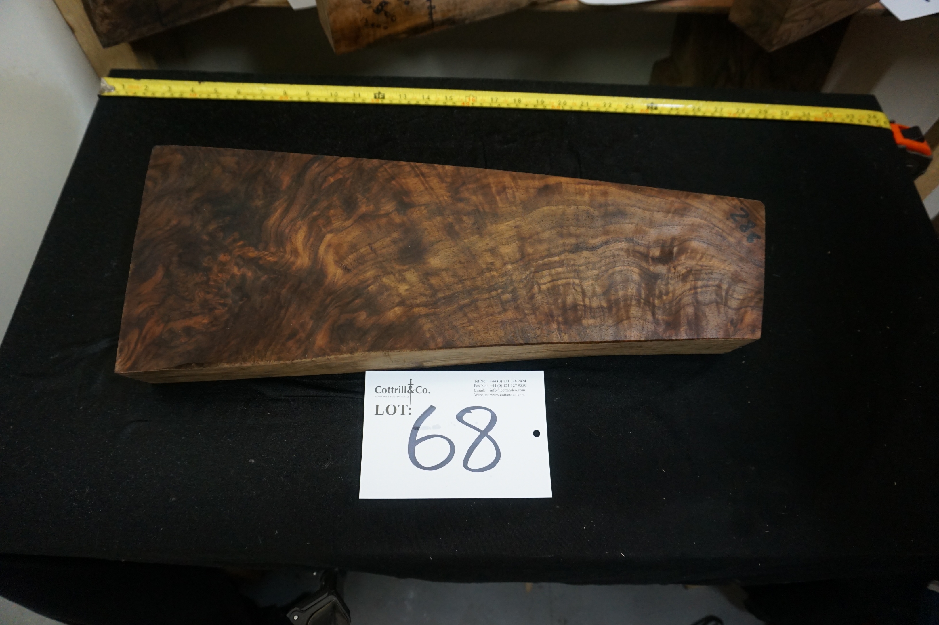 1 Piece of Exhibition Grade Turkish Walnut