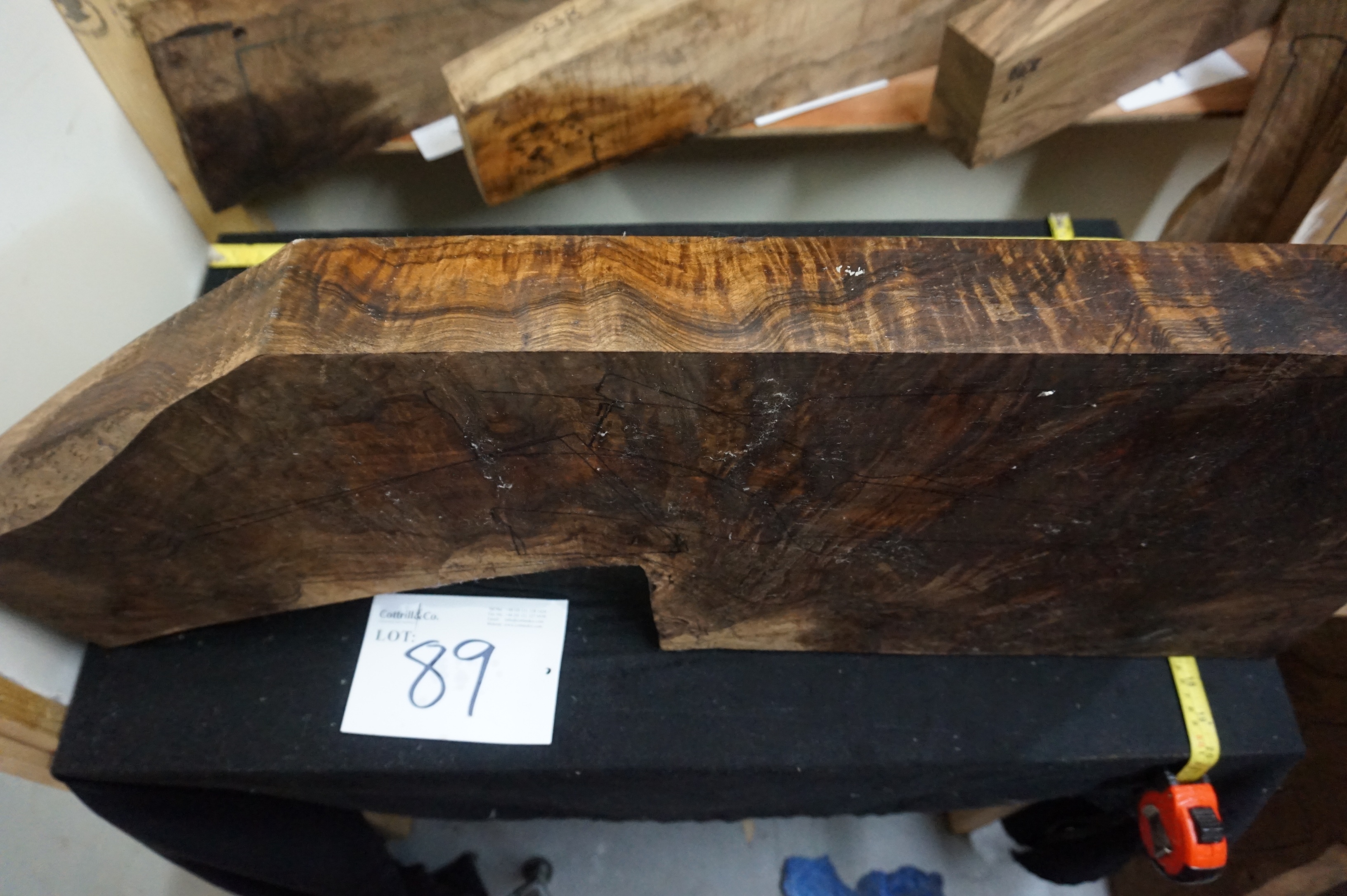 Large Piece of Exhibition Grade Turkish Walnut